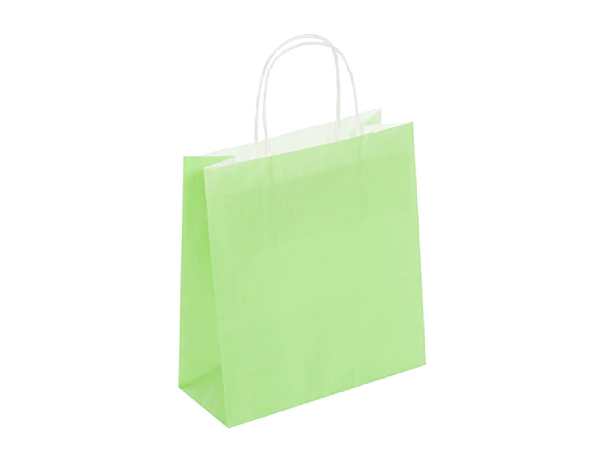 null Paper Shopping Bag Green | myaeon2go
