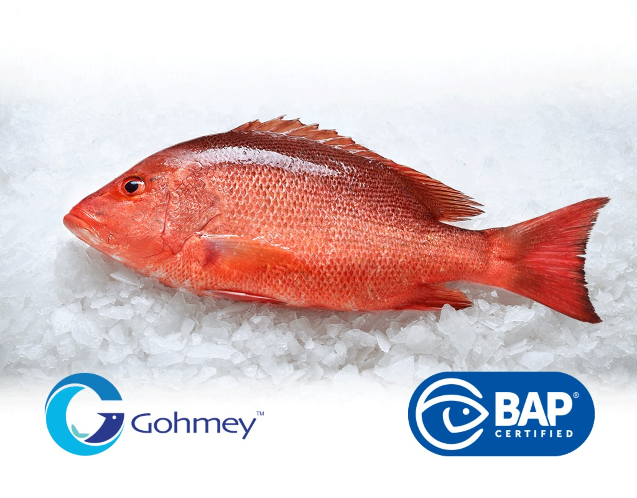 BAP Red Snapper (Ikan Merah) | myaeon2go