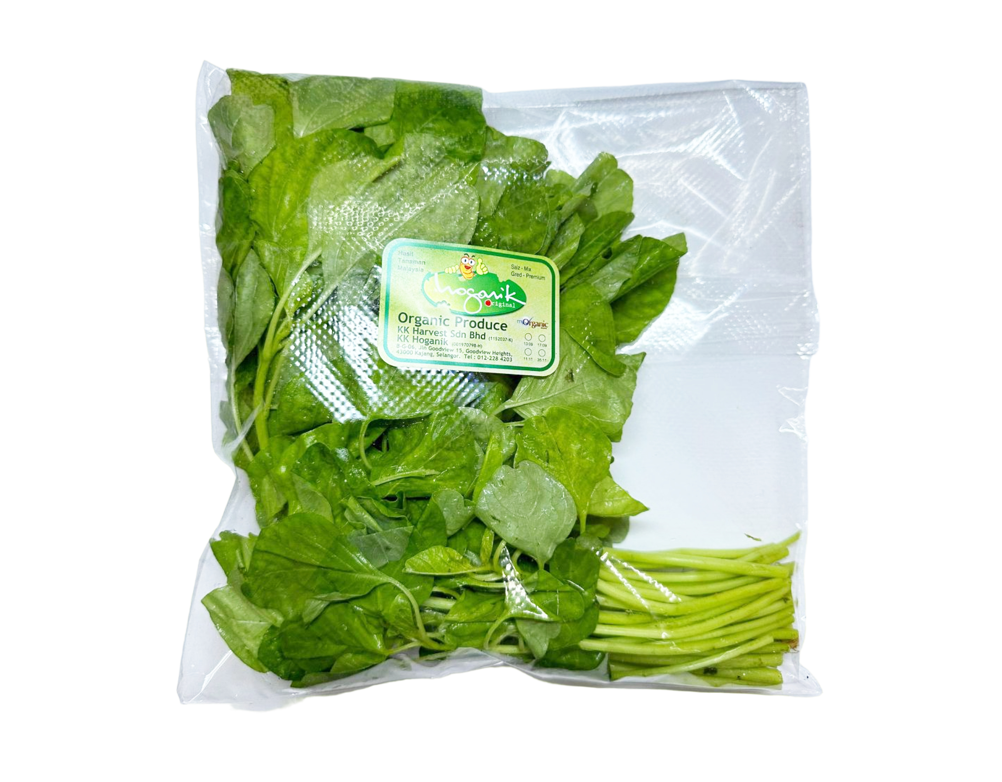 KK Hoganik MY Red & Green Spinach, 1 pack - Organic