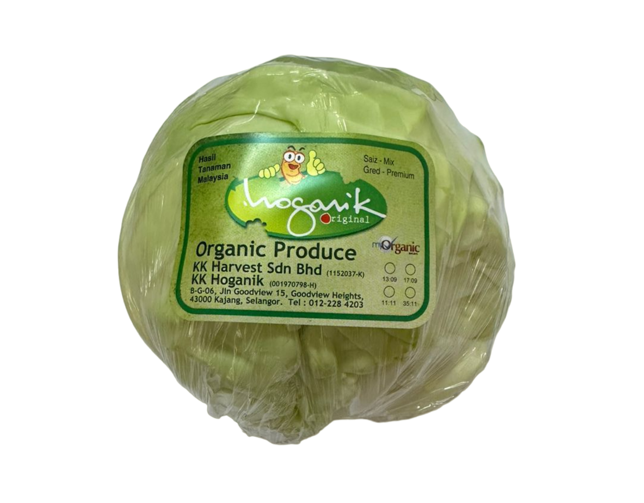 KK Hoganik Beijing Sweet Cabbage Organic +- 600g - Crisp & Mild Flavor