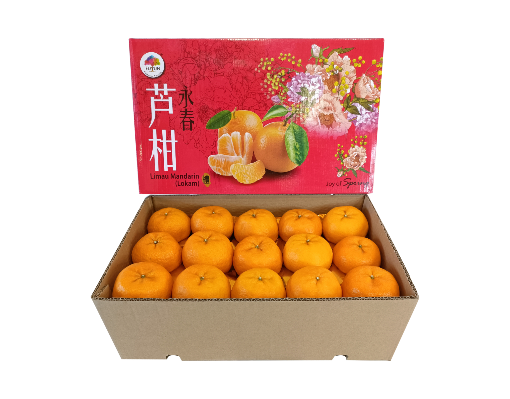 Fuyun China Yong Chun Lokam (XL) 30's | myaeon2go