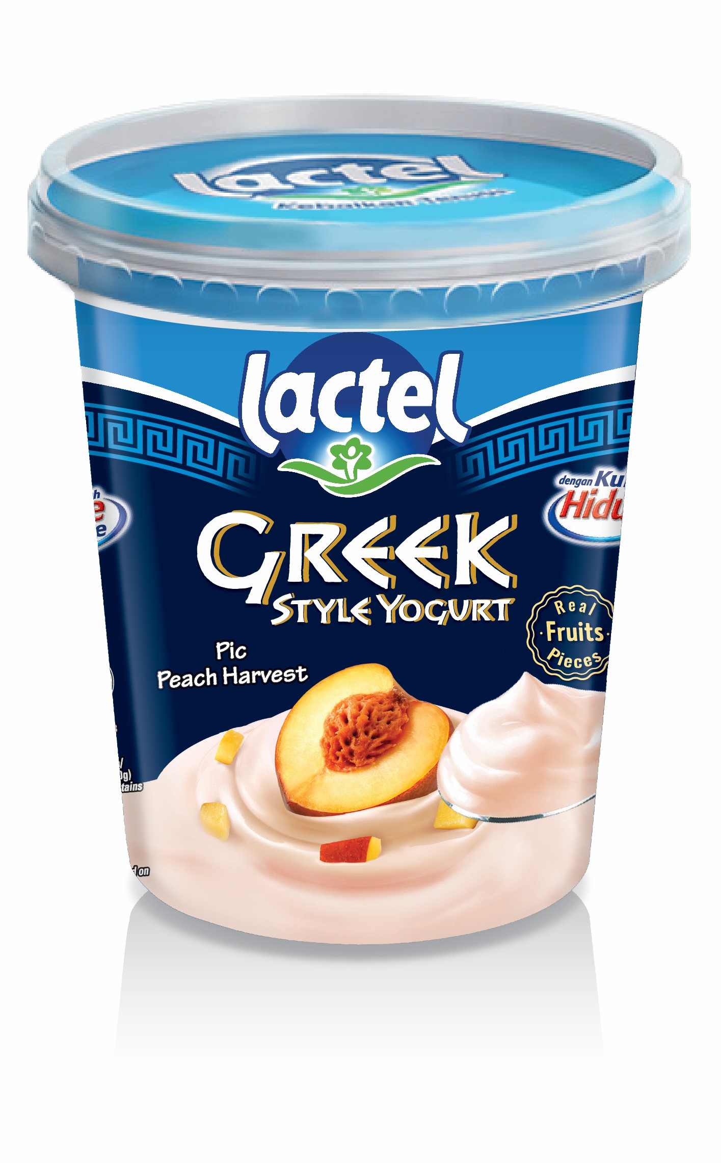 Lactel Greek Peach Yogurt 470g – Creamier Recipe