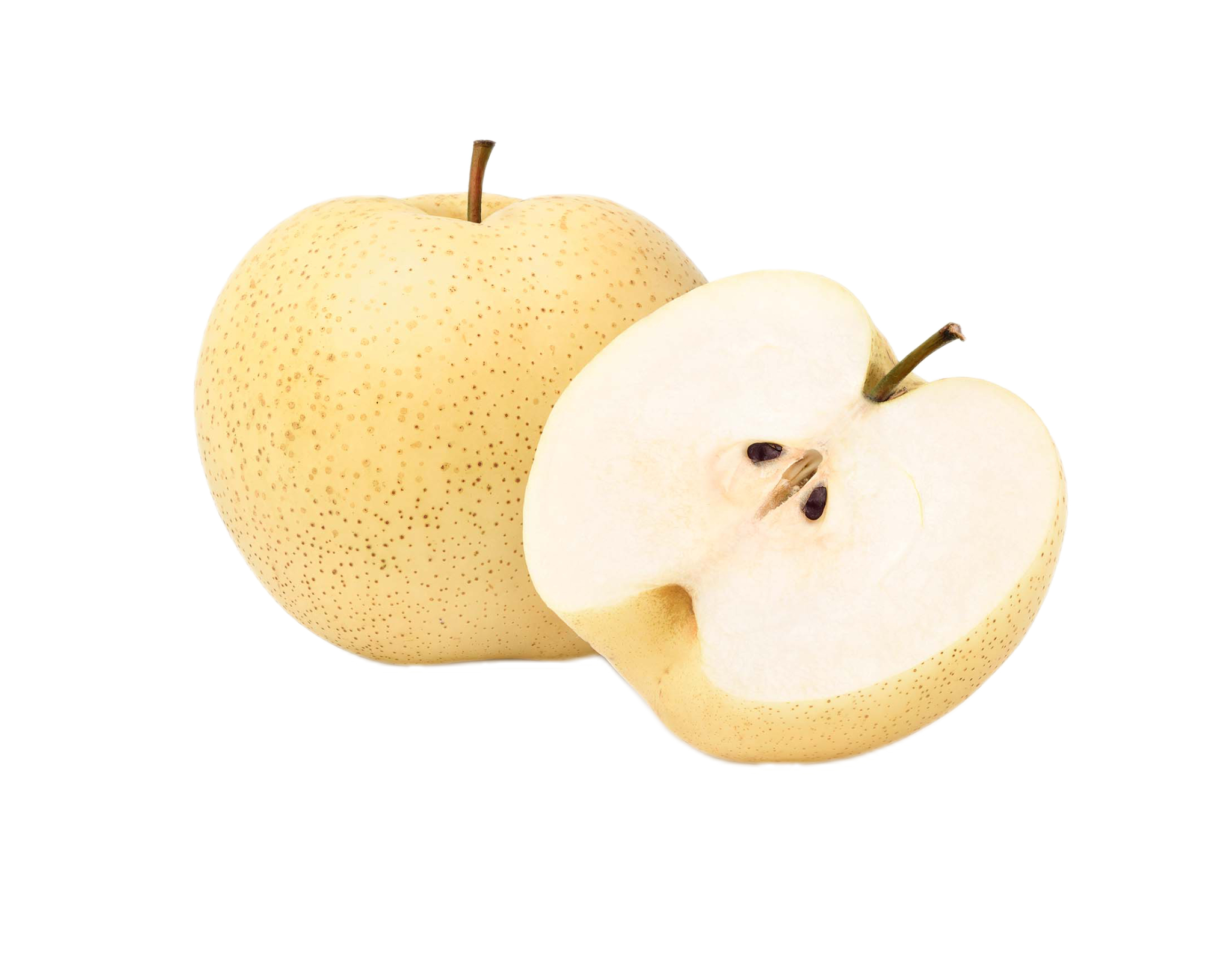 China Century Pear L Size | myaeon2go