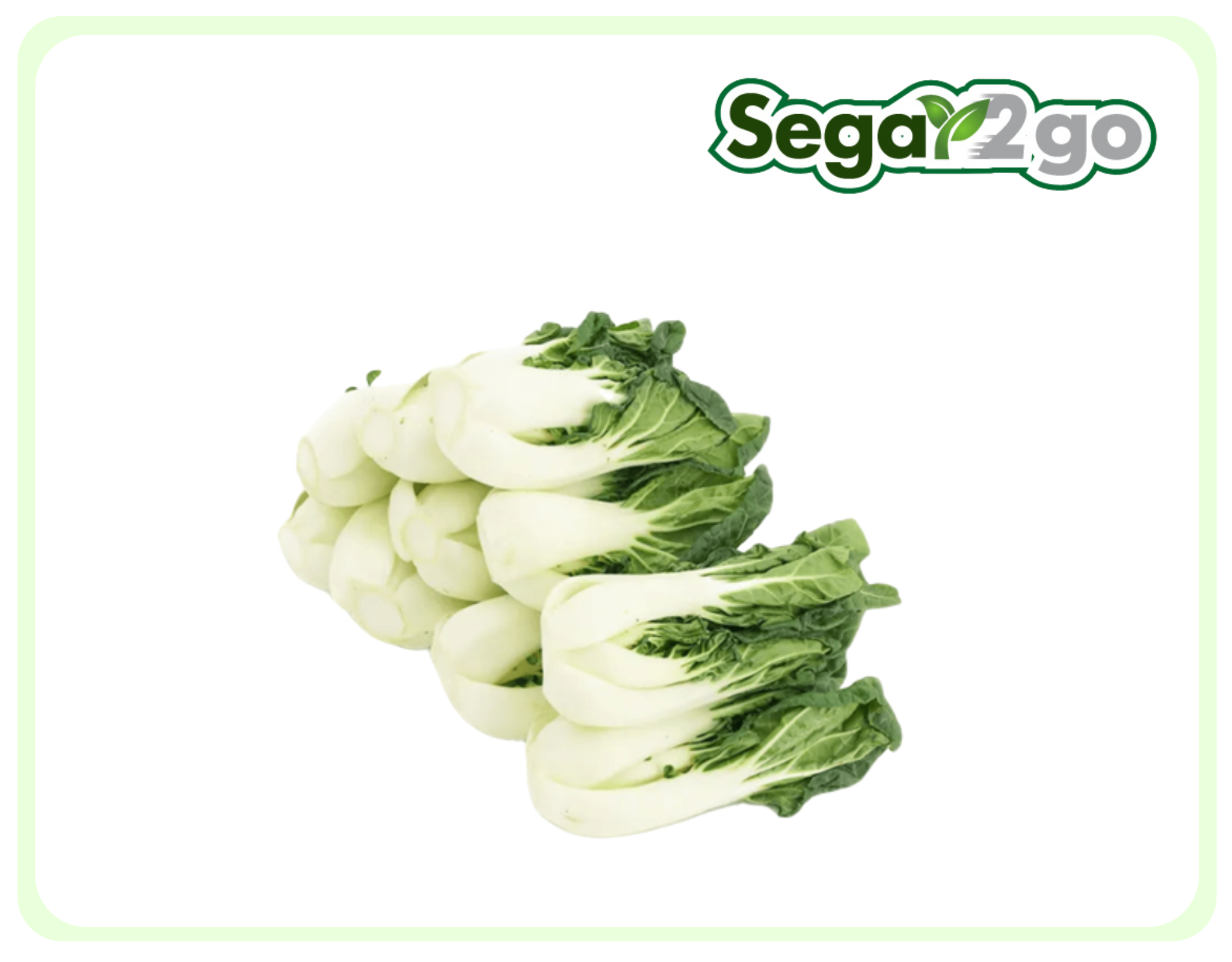 USFL Malaysia Milky White Pak Choy, 200g - Crunchy Freshness