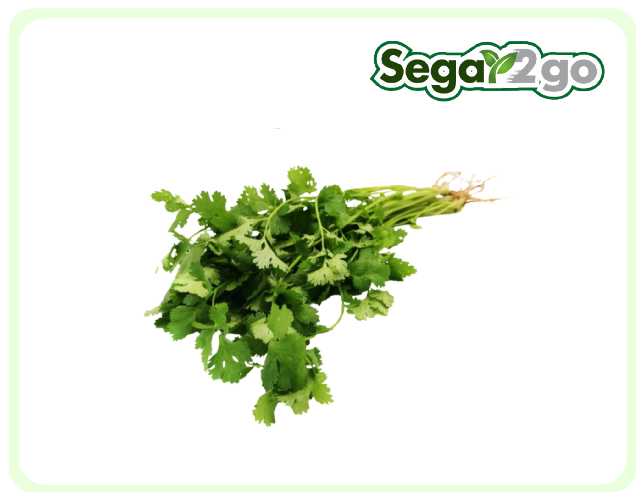 Segar2go Malaysia Coriander Leaves, 100g - Fresh Aroma