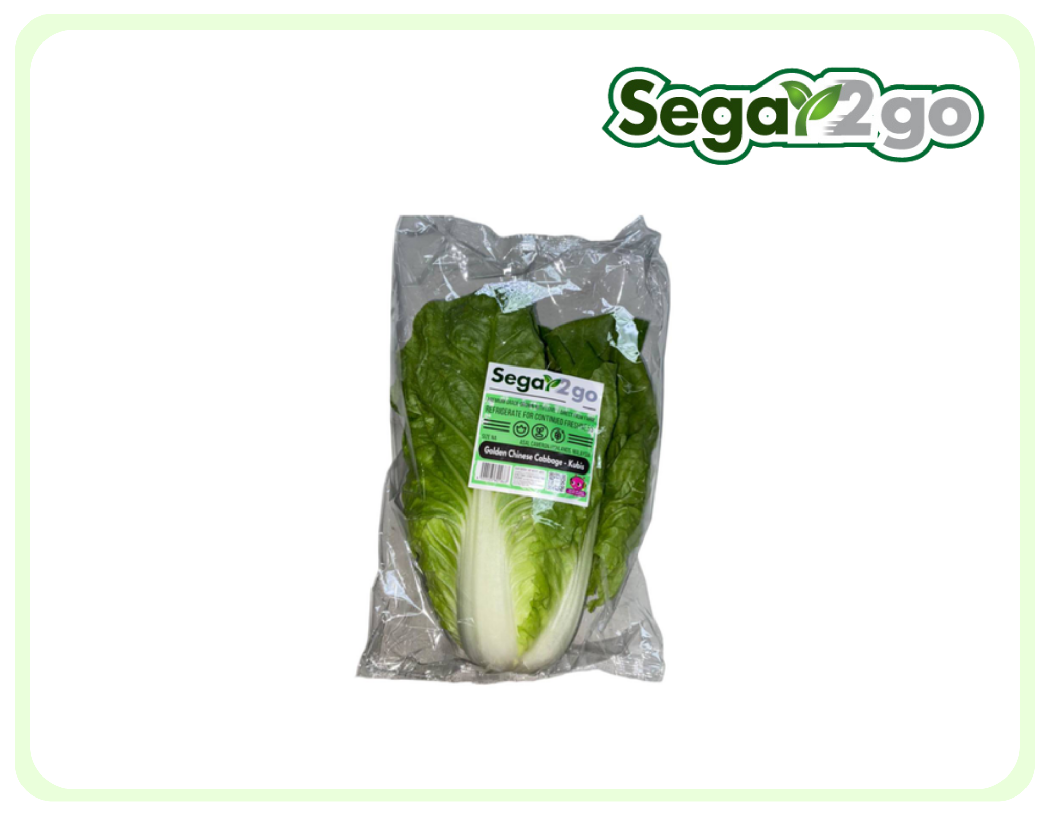 Segar2go Golden Chinese Cabbage,450 g - Fresh from China