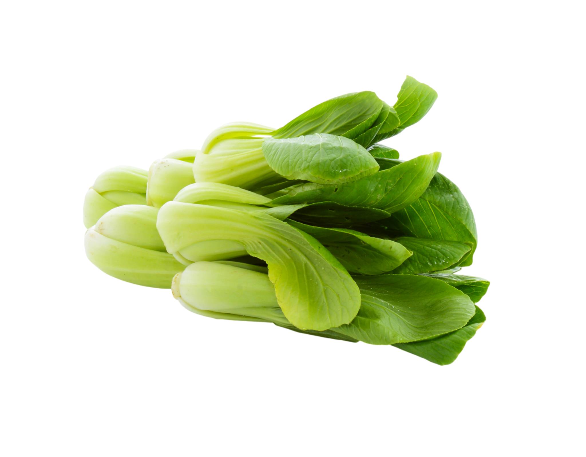USFL Malaysia Small Pak Choy, 250g - Fresh & Nutritious